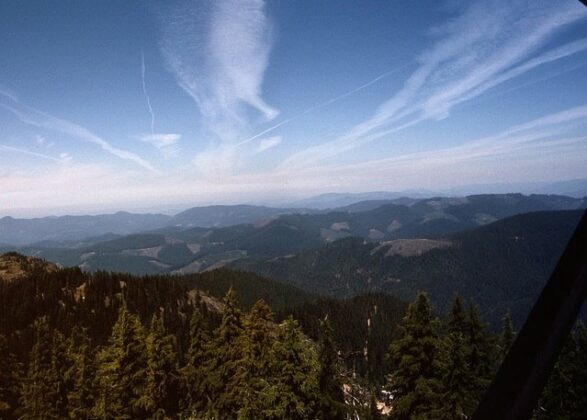 Contrails: A History from Wartime Skies to Modern Jet Trails
