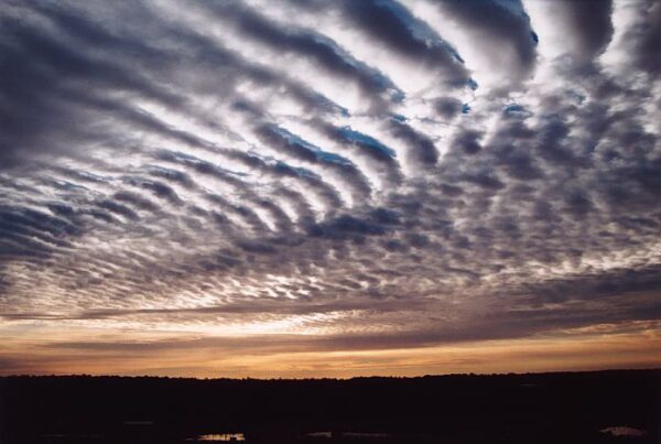 The Ten Major Cloud Types and Their Meteorological Roles