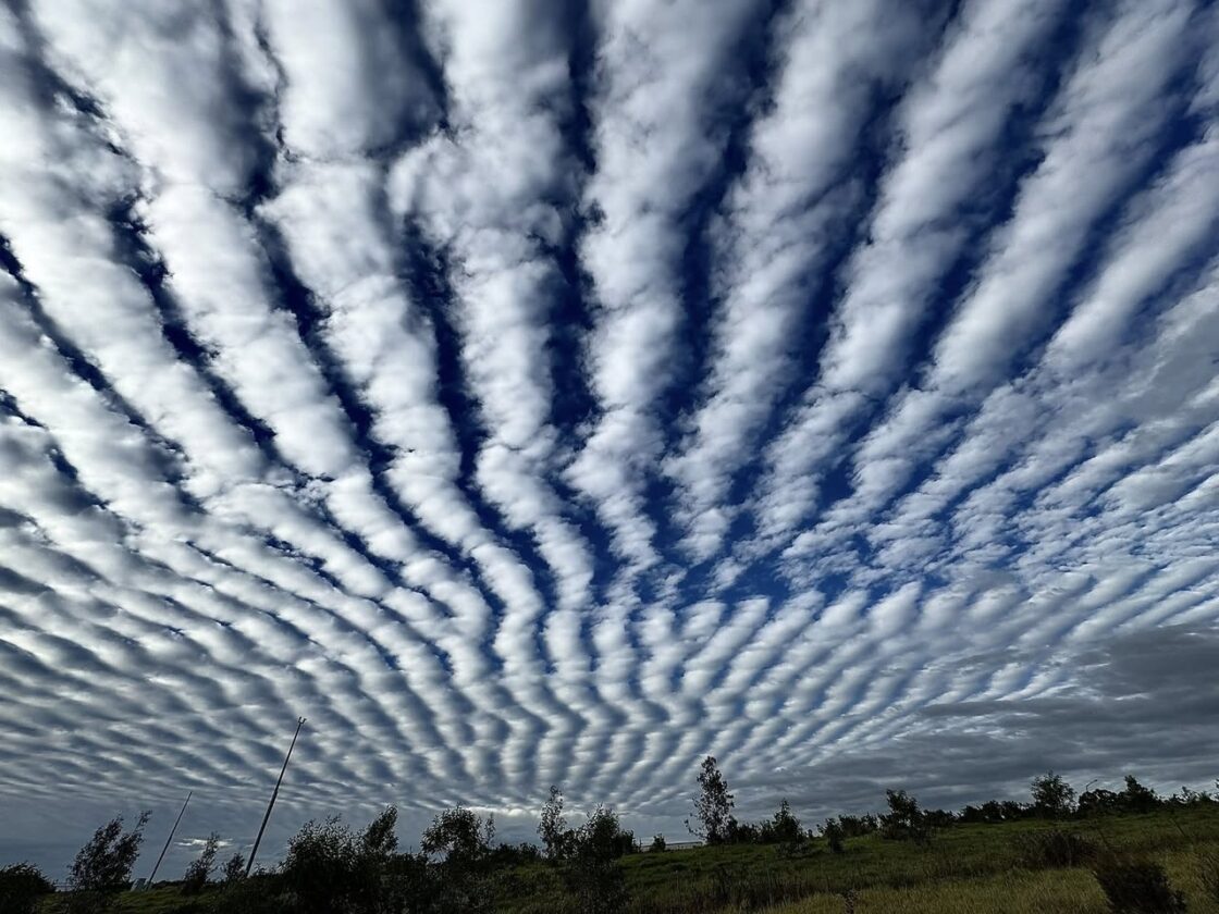 Altocumulus Clouds › Chemtrails or Contrails