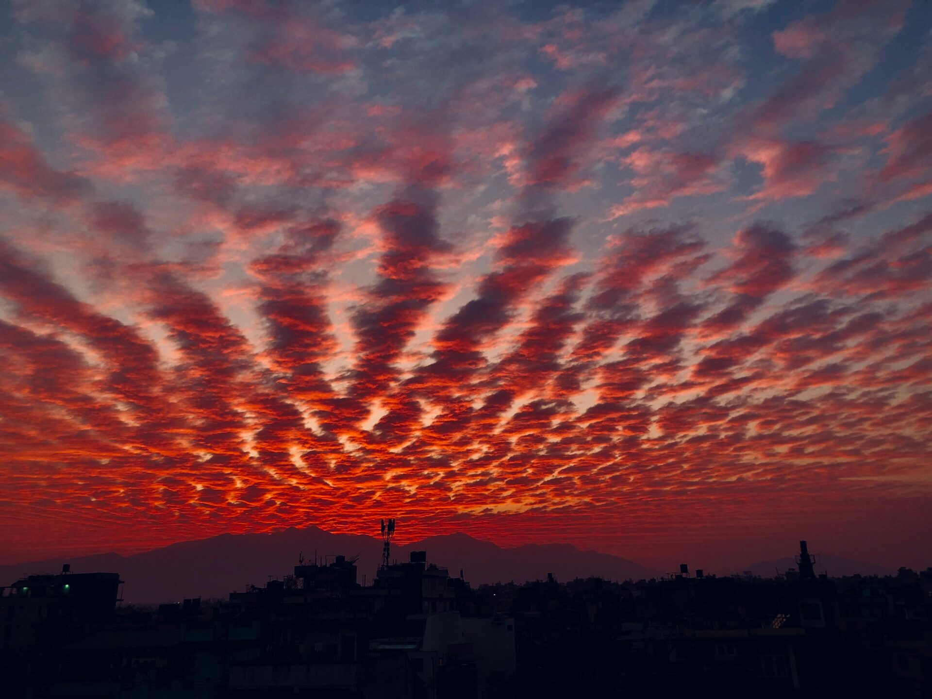 The Ten Major Cloud Types and Their Meteorological Roles