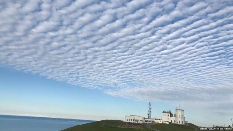 Undulatus Clouds: Formation, Gravity Waves, and Science